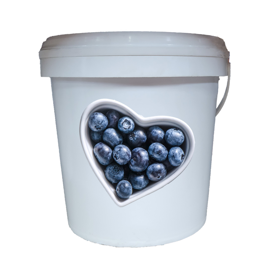 Blueberry Filling – Mega Discovery