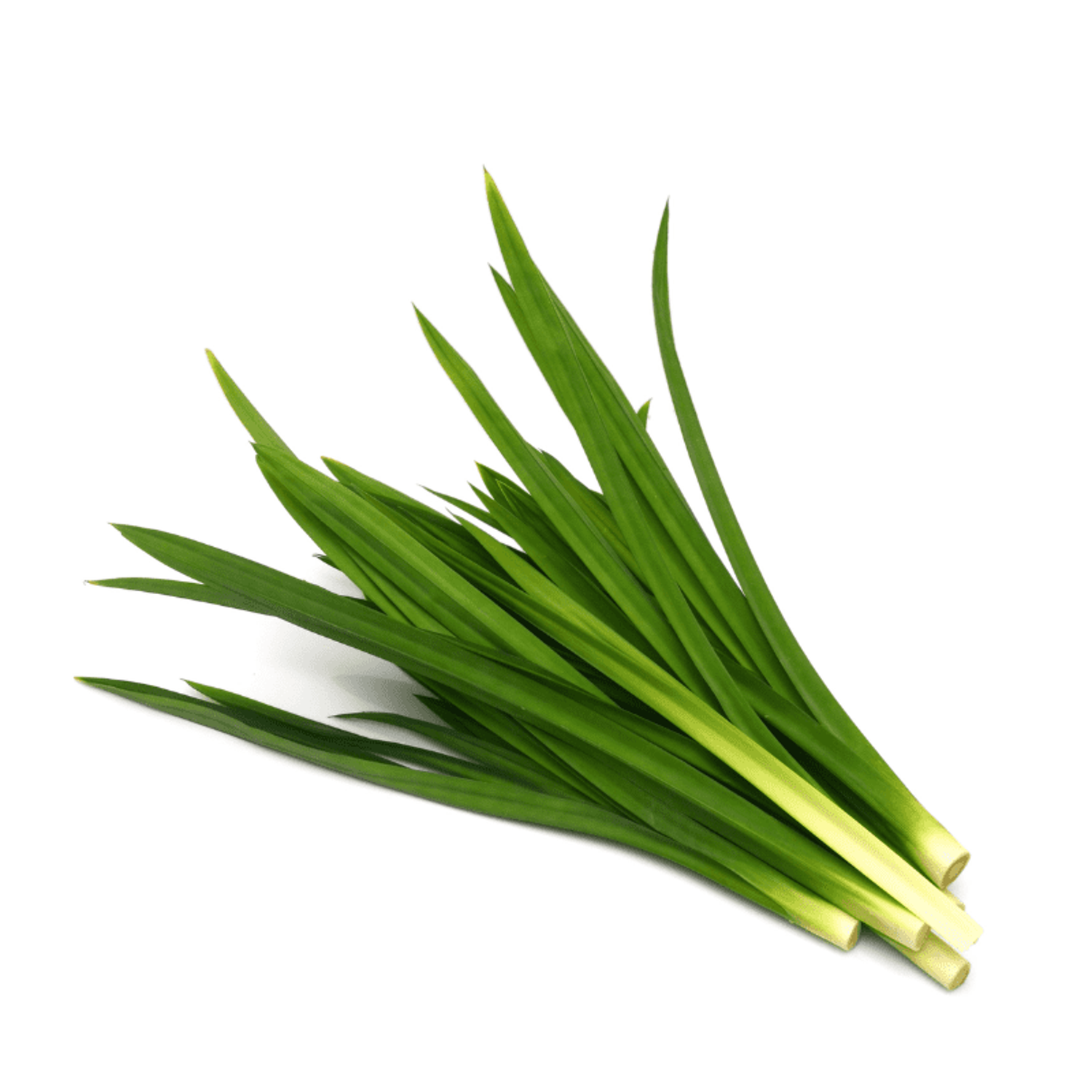 Flavouring-Green Pandan Flavour – Mega Discovery