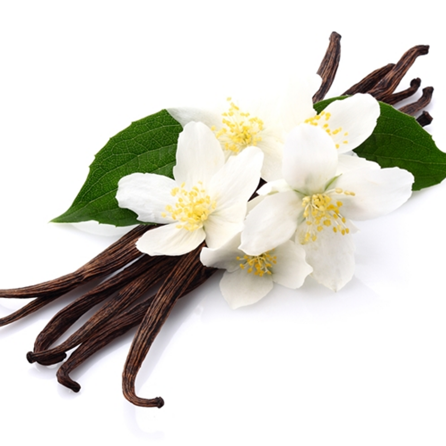 Flavouring-Vanilla Flavour – Mega Discovery