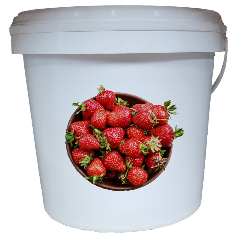 Strawberry Filling – Mega Discovery