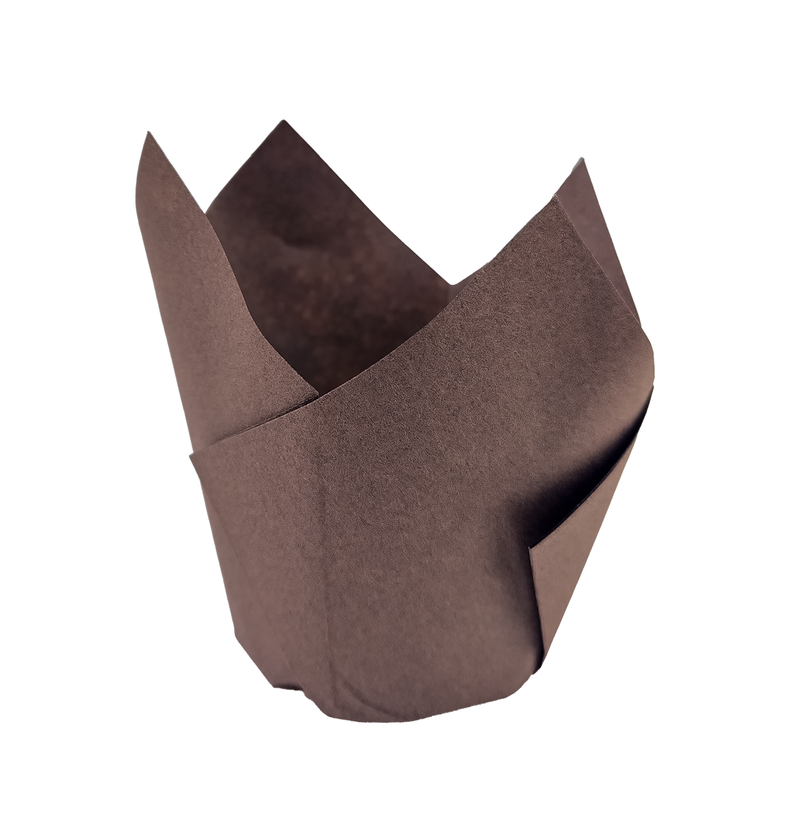 Paper Cup Tulip – Mega Discovery