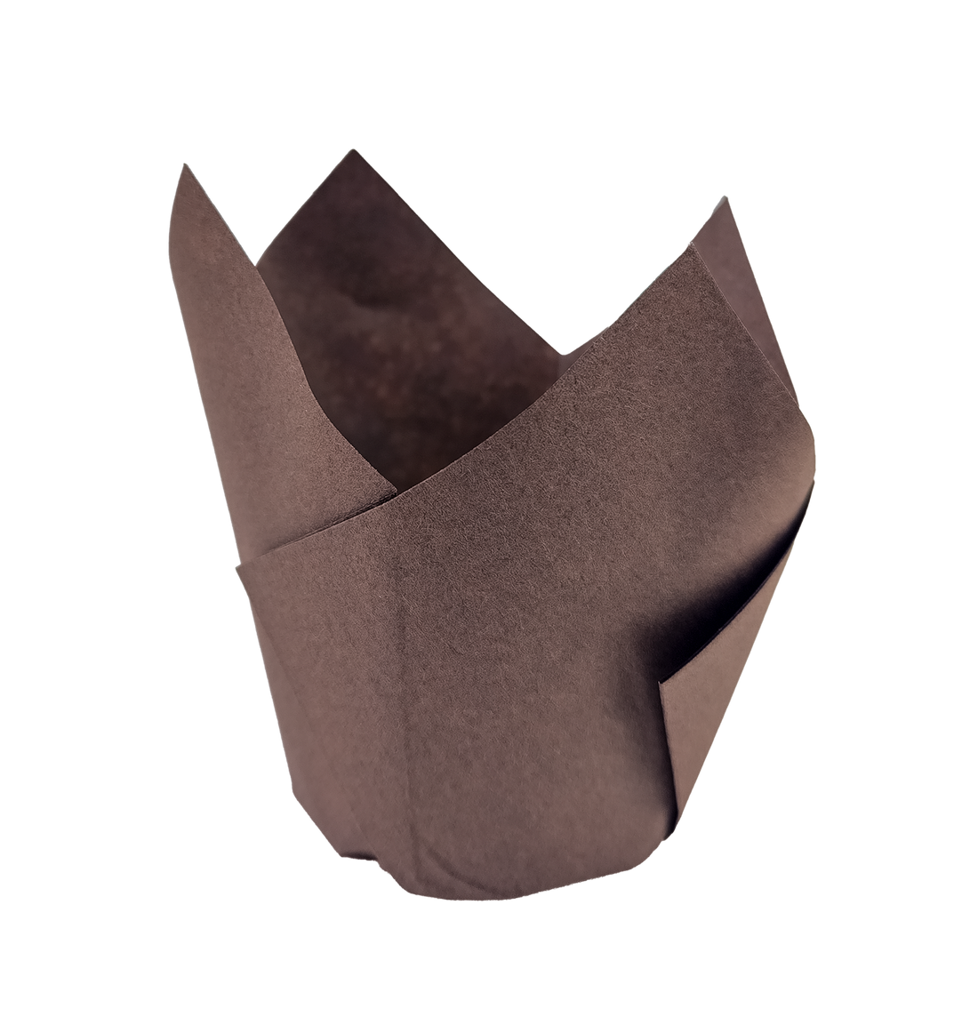 Paper Cup Tulip – Mega Discovery